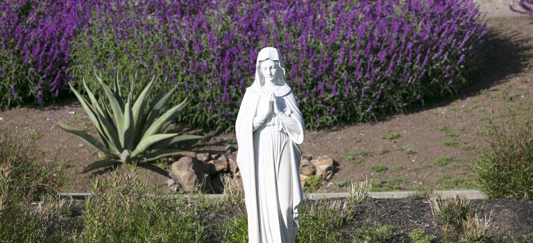 Holy Names University