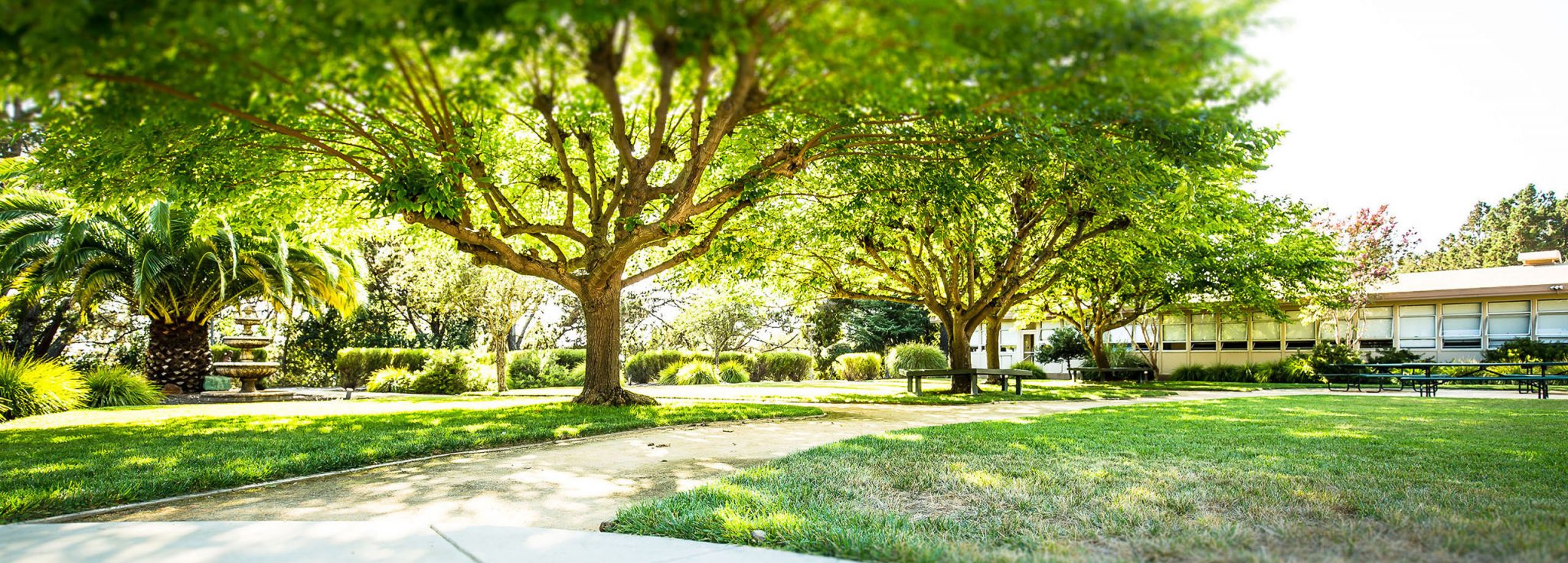 About - Holy Names University